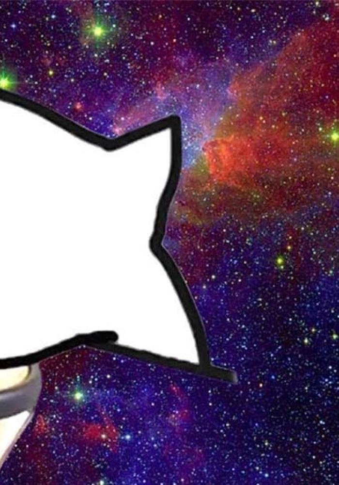 💬 Bongo Cat Soundboard