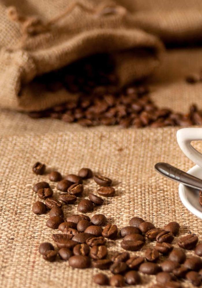 💬 Le Cafe Soundboard