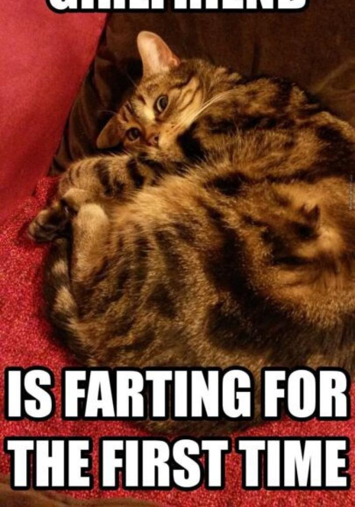 💬 Fart lol Soundboard