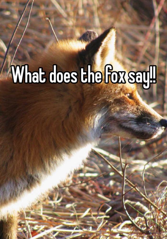 💬 WHAT DOES DA FOX SAY? Soundboard