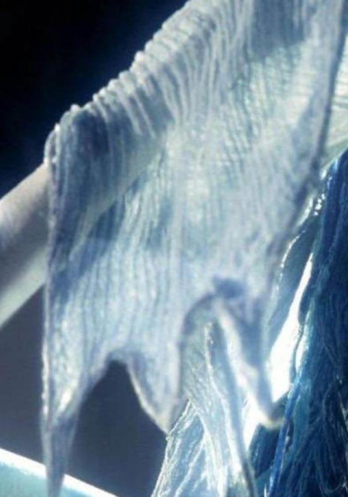 💬 Corpse Bride (2005) Soundboard