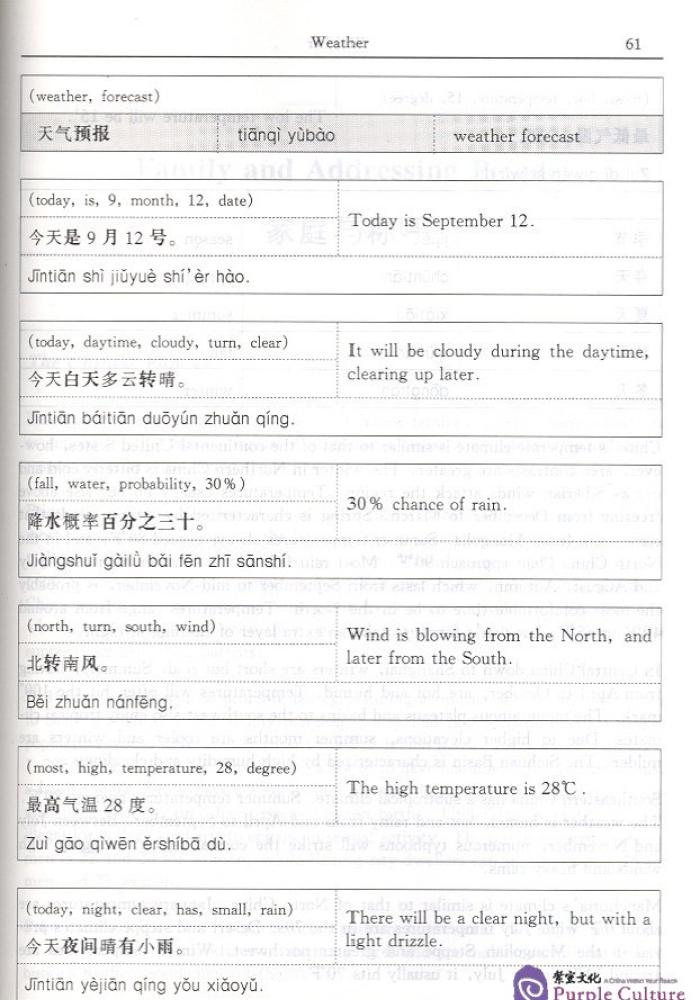 Yunfeng (Chinese Mandarin, Simplified) TTS Computer AI Voice...