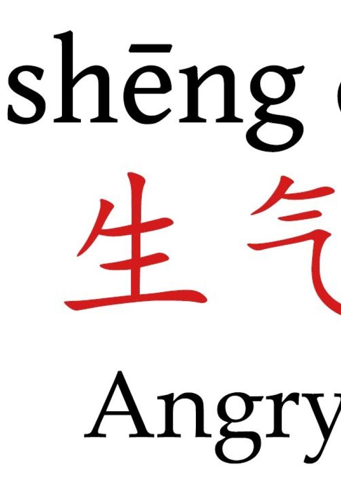 Angry - Xiaorui (Chinese Mandarin, Simplified) TTS Computer AI Voice...