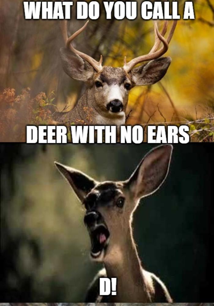 💬 Deer meme Soundboard