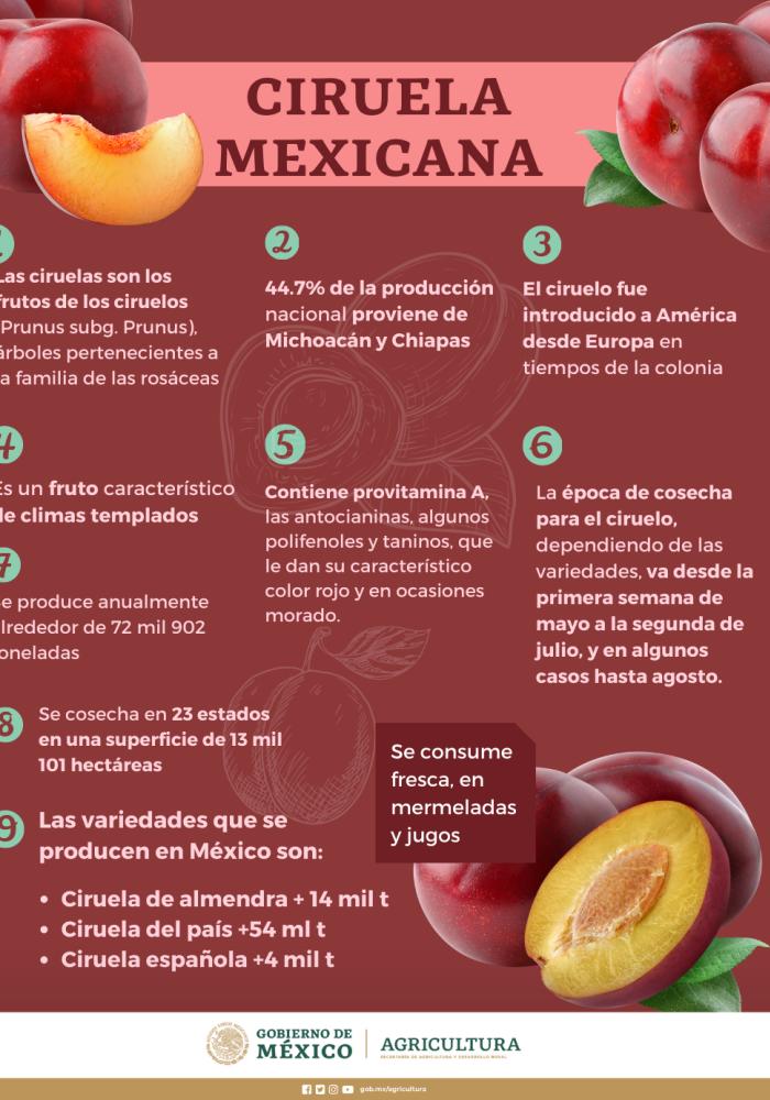 💬 Umm sabor a ciruela Soundboard