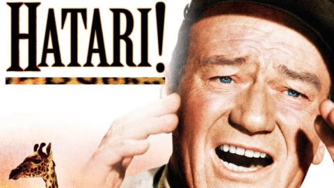 Not until now. Poor baby. - Hatari!