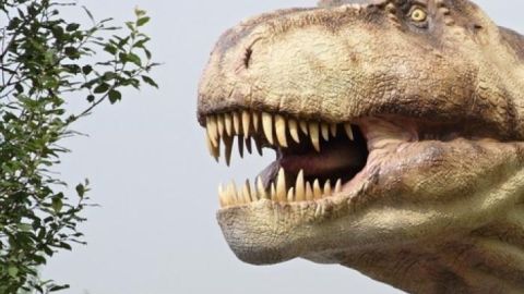 A volcano didn't make us extinct, clarance did with that bomb. -...