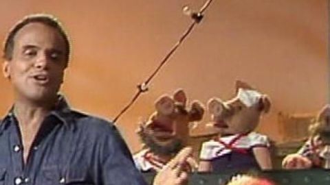 Come, Mr. Tally Mon, tally me banana - Muppet Songs: Harry Belafonte ...