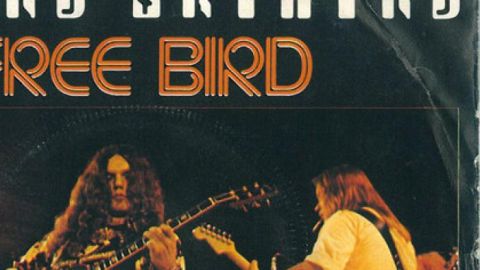 Won't you fly high, free bird, yeah? - Lynyrd Skynyrd - Free Bird