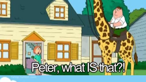 Oi Oi Oi Bakugo - Ohh Peterl Ois Griffin Soundboard
