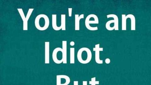 You are an idiot hahaha - You Are An Idiot Soundboard