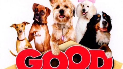 Good boy (voice actor) - Good Boy Soundboard
