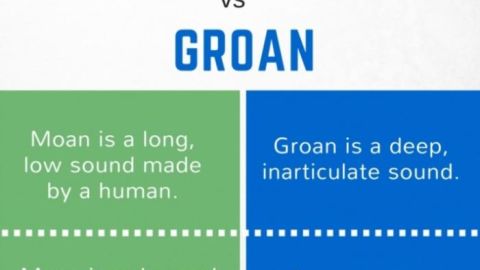 Grumping #moan #cantankerous #disapproving #grumble #cross @Britical...