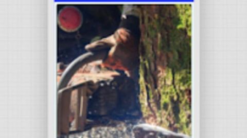 Two Stroke Saw Idling, Revving, Shutting Off #chainsaw #2 stroke...