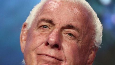 Ric Flair Gators - Ric Flair Soundboard