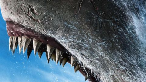 It's a megalodon #megalodon #jason statham #surprise #the meg -...