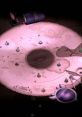 💬 My Singing Monsters: The Map Unofficial My Singing Monsters The...