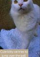 Cat Gossip TTS Computer AI Voice Soundboard