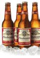 💬 Budweiser Soundboard